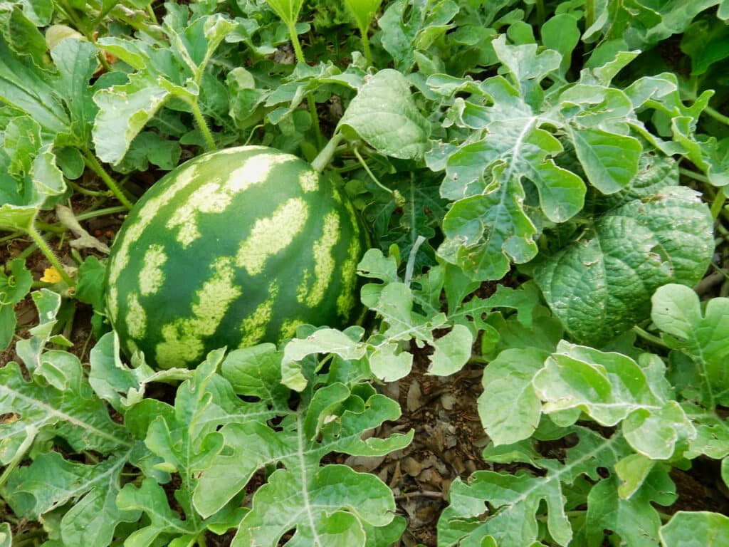 Tour Facility - Seven Arrows Recovery